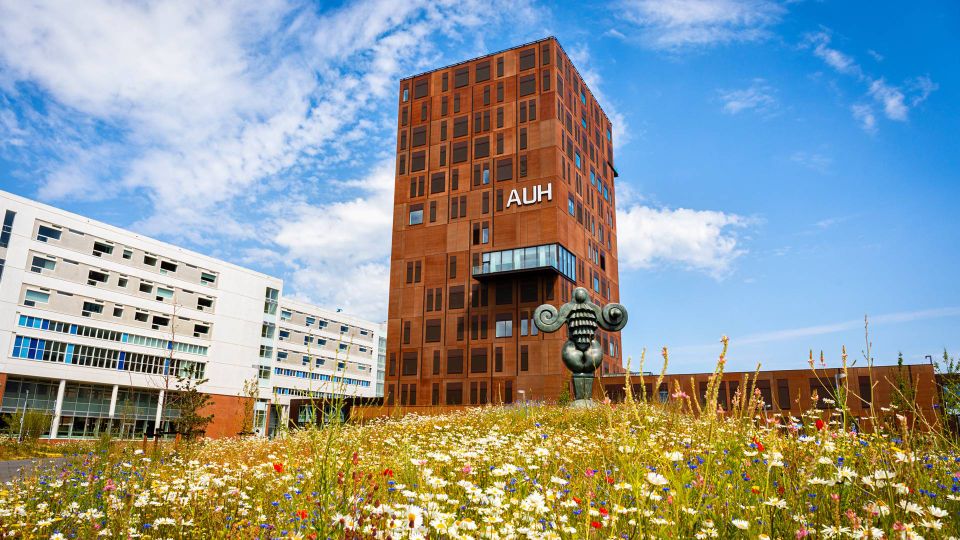 Nummer 14 i verden: AUH blandt verdens "smarteste" hospitaler