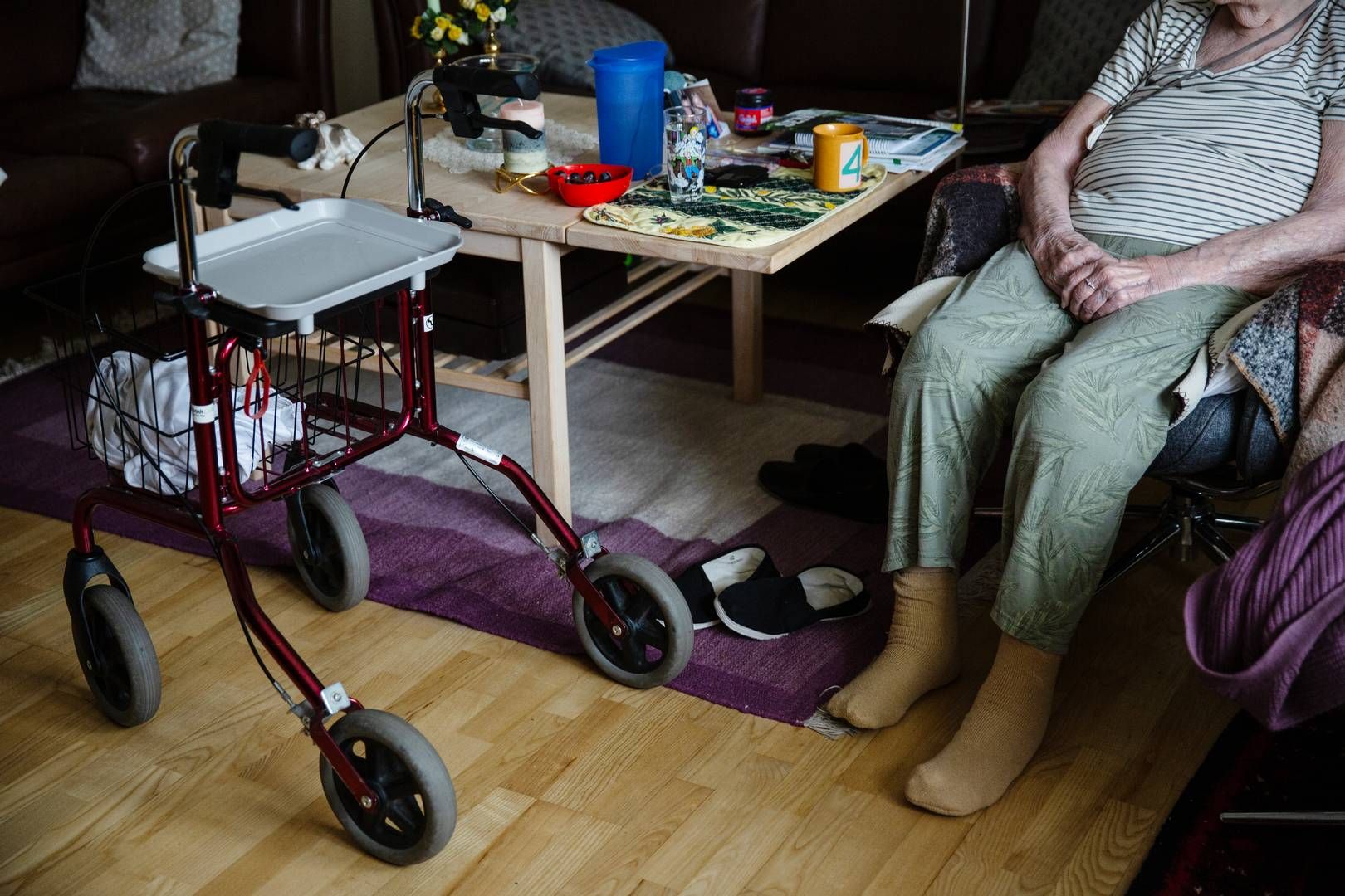 Seniormonitor